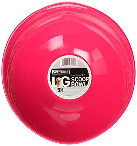 Petmate 23565 5-Cup Studio Scoop Dog Dish, Large, Hibiscus