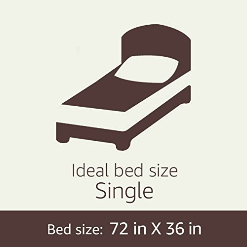 Amazon Basics 5-Piece Lightweight Microfiber Bed-In-A-Bag Comforter Bedding Set - Twin/Twin XL, Coral Medallion