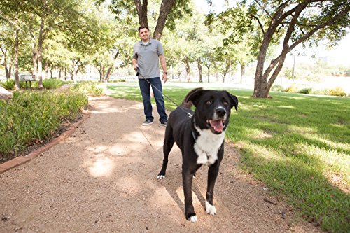 Petmate K9 Control Retractable Dog Walking Leash, Large, Up to 120lbs, 20’ tape, includes zeroslack technology allowing leash to retract while in locked position