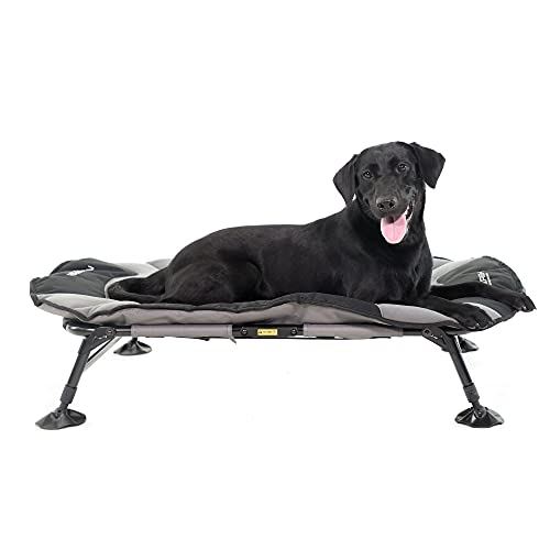 Momarsh Elevated Dog Cot with Washable Soft Pad & Folding Frame for Travel & Home Use| All in One Pet Bed Cot System for Dogs