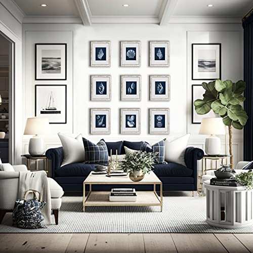 Gnosis Picture Archive Seashells Wall Decor set of 9 Unframed ArtPrints, Navy Blue and White Coastal Wall Decor, Hamptons Style, Coastal Grandma Home Decor Gift
