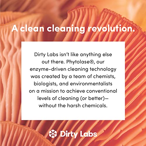Dirty Labs | Murasaki Scent | Bio Enzyme Liquid Laundry Detergent | 32 Loads (8.6 fl oz) | Hyper-Concentrated | High Efficiency & Standard Washing | Nontoxic, Biodegradable | Stain & Odor Removal