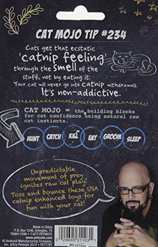 Petmate Jackson Galaxy Puma Paw with Catnip Ball, Model:31103, 2 Balls