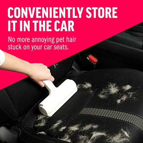 ChomChom Pet Hair Remover - Reusable Cat and Dog Hair Remover for Furniture, Couch, Carpet, Car Seats or Bedding - Portable, Multi-Surface Lint Roller and Fur Removal Tool