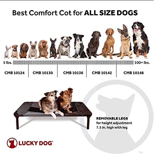 Lucky Dog 36'' Elevated Pet Bed Cot | Indoor & Outdoor Use | Gray