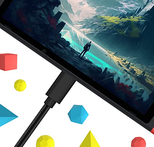 TALK WORKS USB C Charger Cable for Nintendo Switch/Lite + Switch OLED & Pro Controller - 6ft Nylon Braided USB Type C Charging Cable - Slate