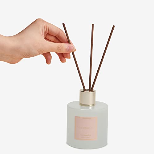 Cocorrína Premium Reed Diffuser Set with Preserved Baby's Breath & Cotton Stick Sandalwood Rose | 6.7oz Scent Fragrance Oil Diffuser for Bedroom Bathroom Living Room Home Décor