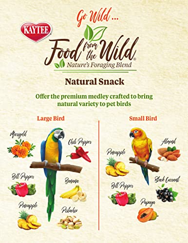 Kaytee Food From The Wild Natural Pet Bird Snack Food Treats For Conures, Pionus, Amazon Parrots, African Greys, Eclectus, Macaws, and Cockatoos, 3 oz.