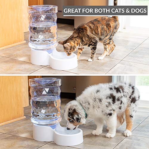 PetFusion H2O Gravity Pet Water Dispenser. Durable 2.5 Gallon Water Feeder. Automatic Water Station for Cats & Small, Medium, Large Dogs, Transparent (PF-GW1)