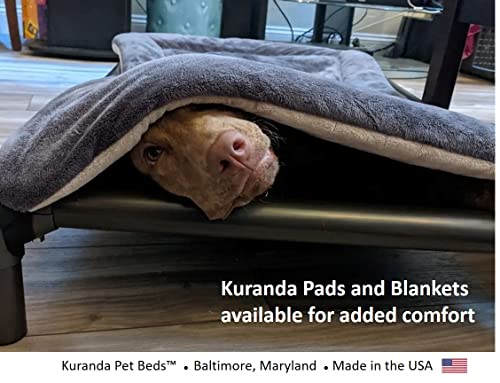 Kuranda Elevated Indoor Bed - Walnut PVC - X-Large - 44" x 27" - Cordura - Burgundy