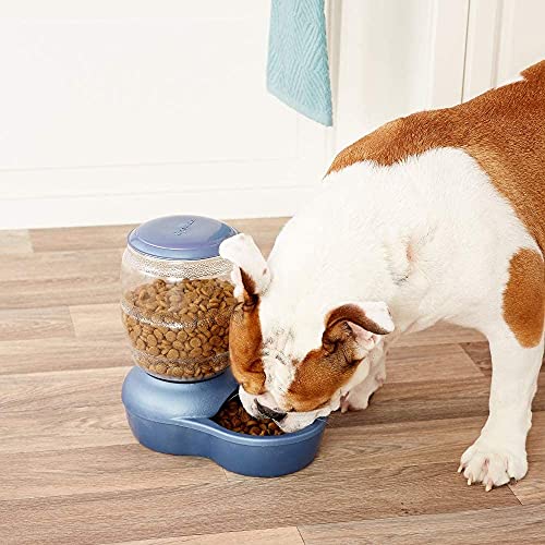 Petmate 24499 Replendish Gravity Feeder , Pearl Peacock Blue, 18 LB