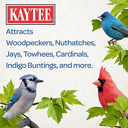 Kaytee Peanuts in Shell for Squirrels, Woodpeckers, Nuthatches, Jays, Towhees, Cardinals, Indigo Buntings, and Other Wild Birds, 5 Pound