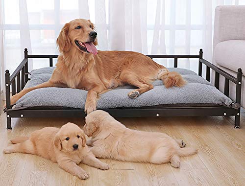 LXLA Deluxe Large Dogs Bed, Metal Elevated Pet Cot with Soft Mat, Adjustable Height Non Slip Foot, for Medium & Large Dogs, Easy Install (Size : L 101×68×30cm)