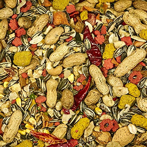 Kaytee Fiesta Big Bites - Macaw 10 lb