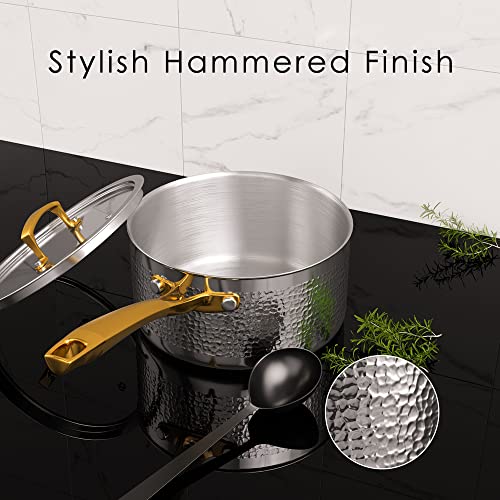 Homaz life Pots and Pans Set, Tri-Ply Stainless Steel Hammered Kitchen Cookware, Induction Compatible, Dishwasher and Oven Safe, Non-Toxic, Professional Grade Cooking Sets, 10-Piece, Silver