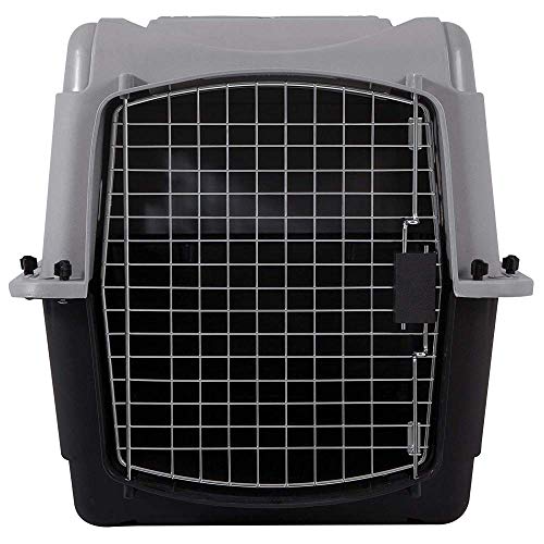 Petmate Pet Porter Large, Light Gray