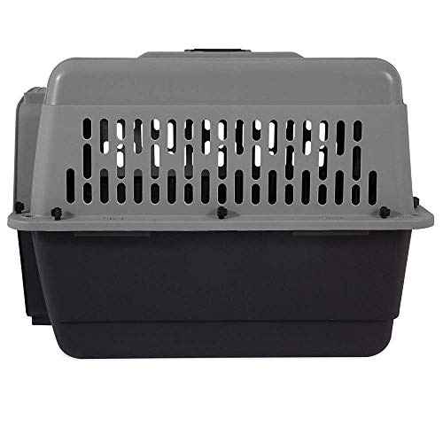 Petmate Pet Porter Large, Light Gray