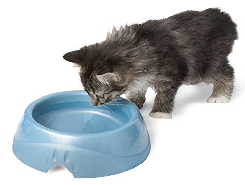 Petmate 23080 Jumbo Pet Dish