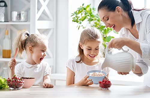 FOODLE Wheat Straw Dinnerware Sets for 4 - Lightweight & Unbreakable Dishes - Microwave & Dishwasher Safe - Perfect for Camping, Picnic, RV, Dorm - Plates, Cups and Bowls - Great for Kids & Adults