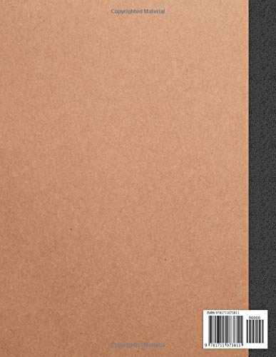 Accounting Ledger Book 3 Column: 120 pages , 8.5 x 11 inches ( large size ) , Brown craft paper style cover : Simple / General Accounting Ledger Book for Bookkeeping