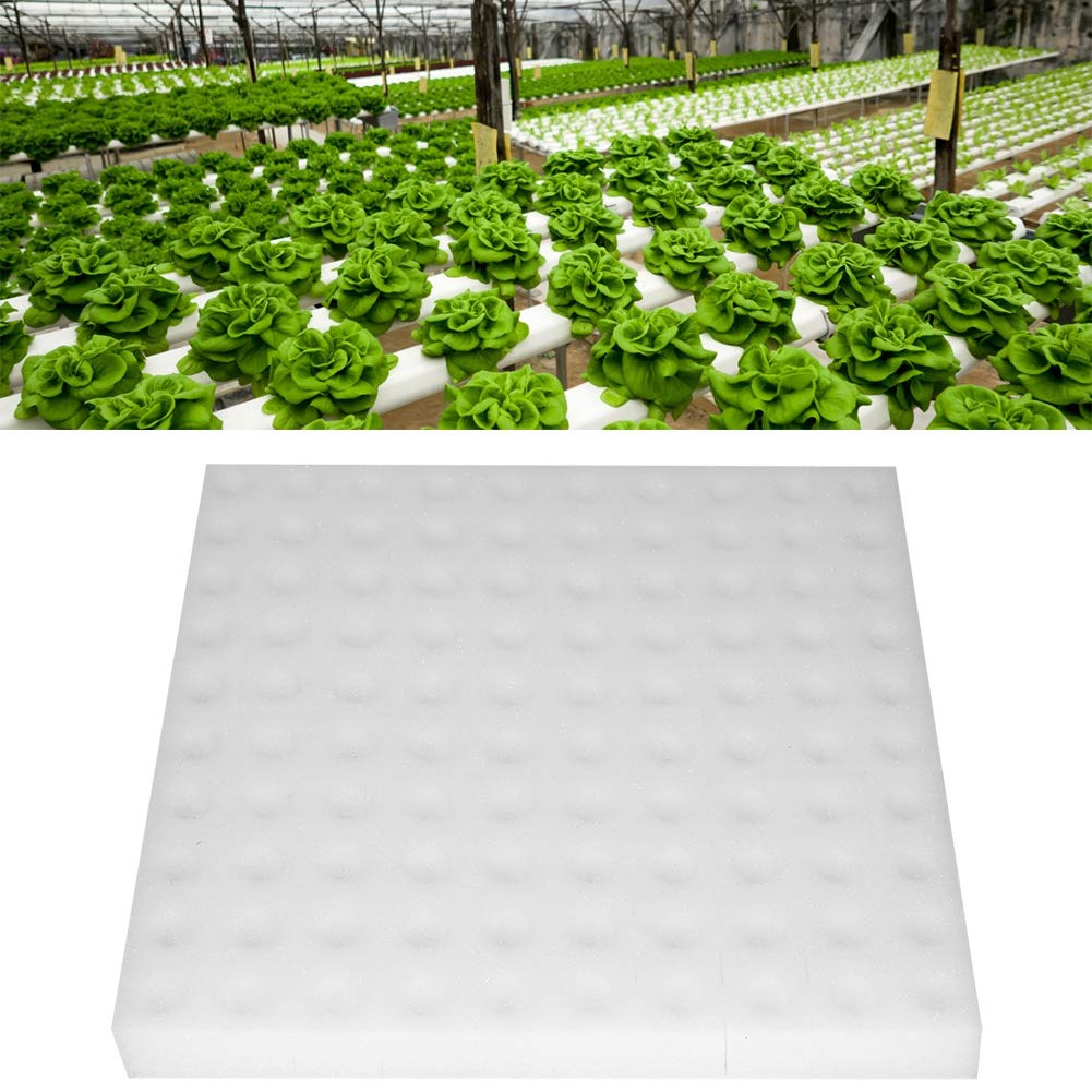 Fdit 100Pcs Hydroponic Sponge Planting Sponge Gardening Tool Seedling Sponges for Greenhouse