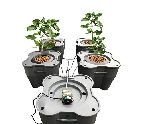 DWC Hydropoinc System Kit (4)