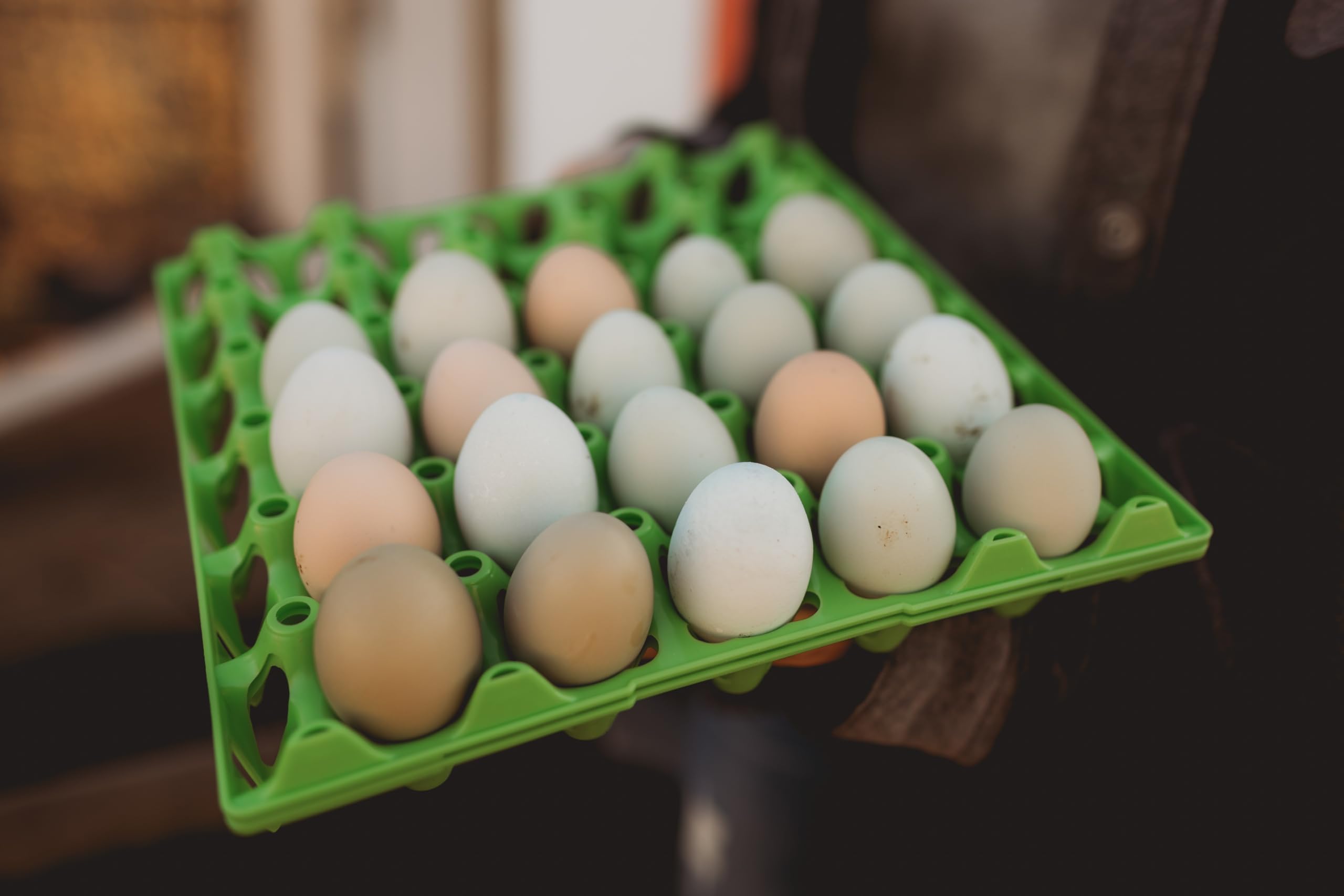 My Favorite Chicken 10 Pack Plastic Egg Flat Carton Tray Holds 30 Eggs Reusable Washable