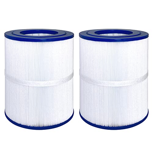 Wowreed Spa Filter Replaces PDM 28, 461273,2015& Newer AquaRest DreamMaker Cottage Collection Models(not Oval end),2 Pack