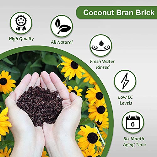 Hodiax Premium Coco Coir Brick, 1.4Lb High Nutrinent Compressed Coconut Soil, OMRI 100% Organic Low EC & PH Balanced Potting Soil for All Plants Gardening, Hydroponics and Reptile Substrate (650G x 2)