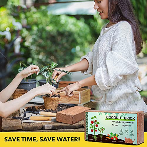 Hodiax Premium Coco Coir Brick, 1.4Lb High Nutrinent Compressed Coconut Soil, OMRI 100% Organic Low EC & PH Balanced Potting Soil for All Plants Gardening, Hydroponics and Reptile Substrate (650G x 2)