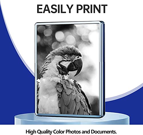 TN-750 TN750 Black Compatible 2-Pack TN-750 TN750 High Yield Toner Cartridge Replacement for Brother HL-5470DW HL-6180DW HL-5440D MFC-8510DN MFC-8710DW MFC-8810DW MFC-8910DW Printer Toner.