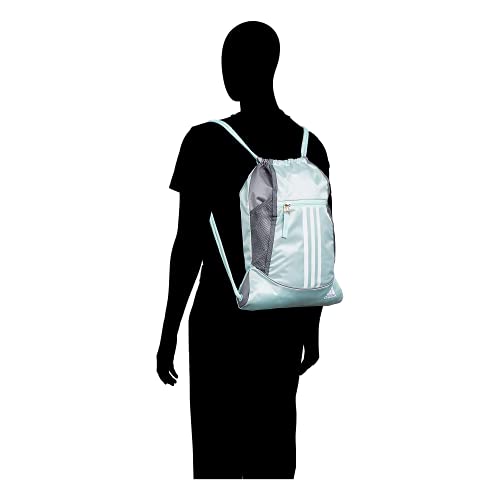 adidas Alliance Sackpack (12L) Lightweight Athletic Small Drawstring Team Sports Workout Bag Discontinued, Shadow Navy/Snowglobe/Dash Grey, One Size