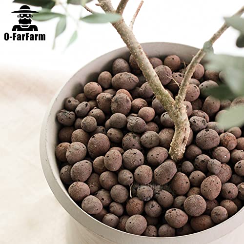 O-FarFarm Clay Pebbles for Indoor Plants, Hydroponics Supplies Clay Balls for Hydroponic Growing, 3 Sizes to Choose for Orchids, Hydroponics, Aquaculture(1qt, 11-14mm)