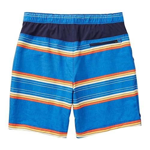 Speedo Mens Hydro Volley Swim Shorts (Speedo Blue Stripe, Medium 32/34)