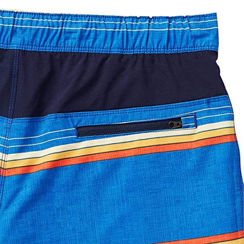 Speedo Mens Hydro Volley Swim Shorts (Speedo Blue Stripe, Medium 32/34)