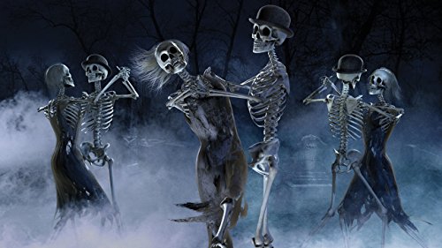 AtmosFear FX Ghostly Apparitions & Bone Chillers DVD Plus Reaper Brothers High Resolution Rear Projection Screen for Virtual Halloween Window Projection Movies
