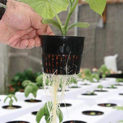 Tectsia 4 Inch Net Cups (25 Pack), Net Pots for Hydroponics, Orchids Mesh Baskets Pots Heavy Duty Hydroponics Supplies with Wide Lip