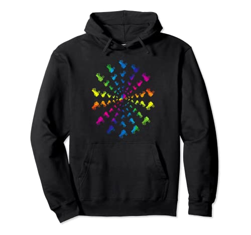 Rainbow Roller Derby Skates For Skater Rollerblade Pullover Hoodie