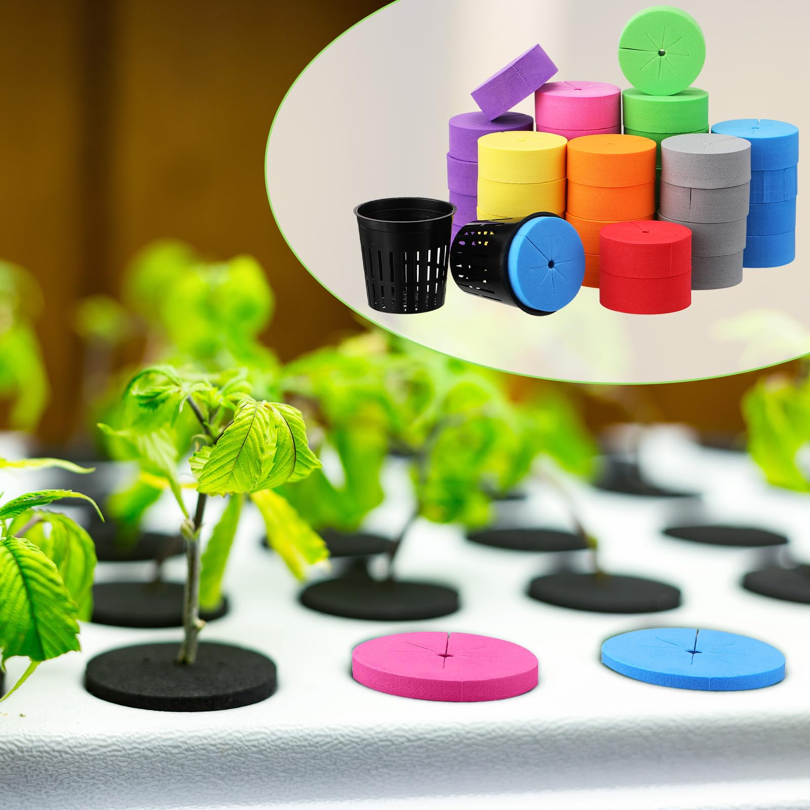 Layhit 120 Sets Clone Collars Neoprene Cloning Collar Inserts 8 Colors 2 Inch Net Pots for Hydroponics Net Cup Pots Hydroponic pots Seed Germination kit for Net Pots Hydroponics Aeroponics