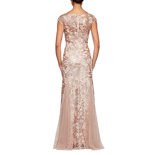 Alex Evenings Women's Long V Neck Fit and Flare Dress with Shawl (Petite Regular), Rose Gold, 6P