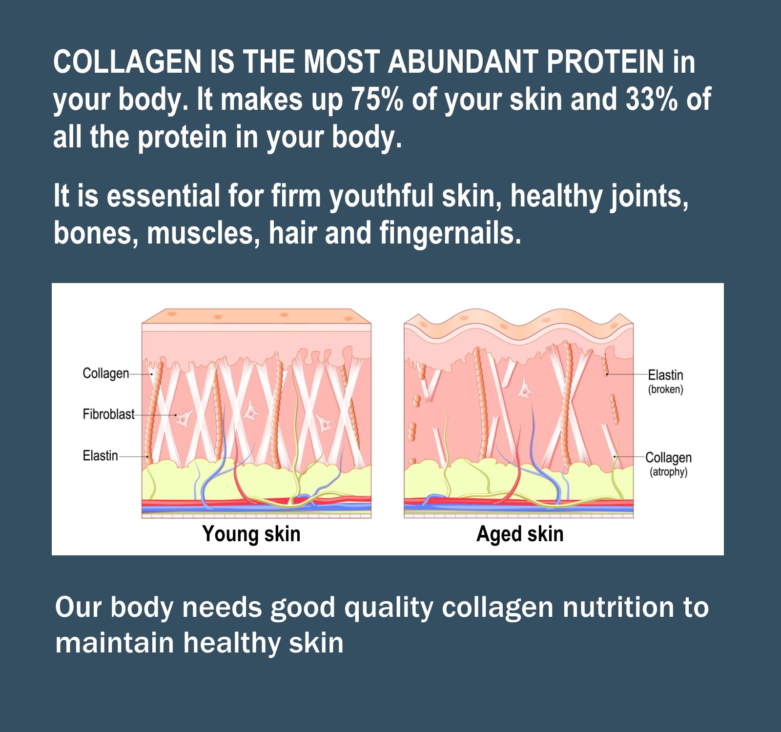 USANUTRA Collagen Peptide Protein Pills for Women and Men Type I, II, III, V, X Multi Collagen 180 Capsules Non-GMO with Bovine and Marine Collagen