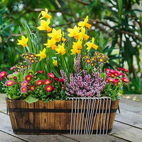 UPMCT 12 Inch Galvanized Garden Landscape Staples Stakes, 25 50 100 PCS Anti-Rust Garden Staples U-Shaped Landscape Pins for Secure Lawn Fabric (25, 12 Inch)