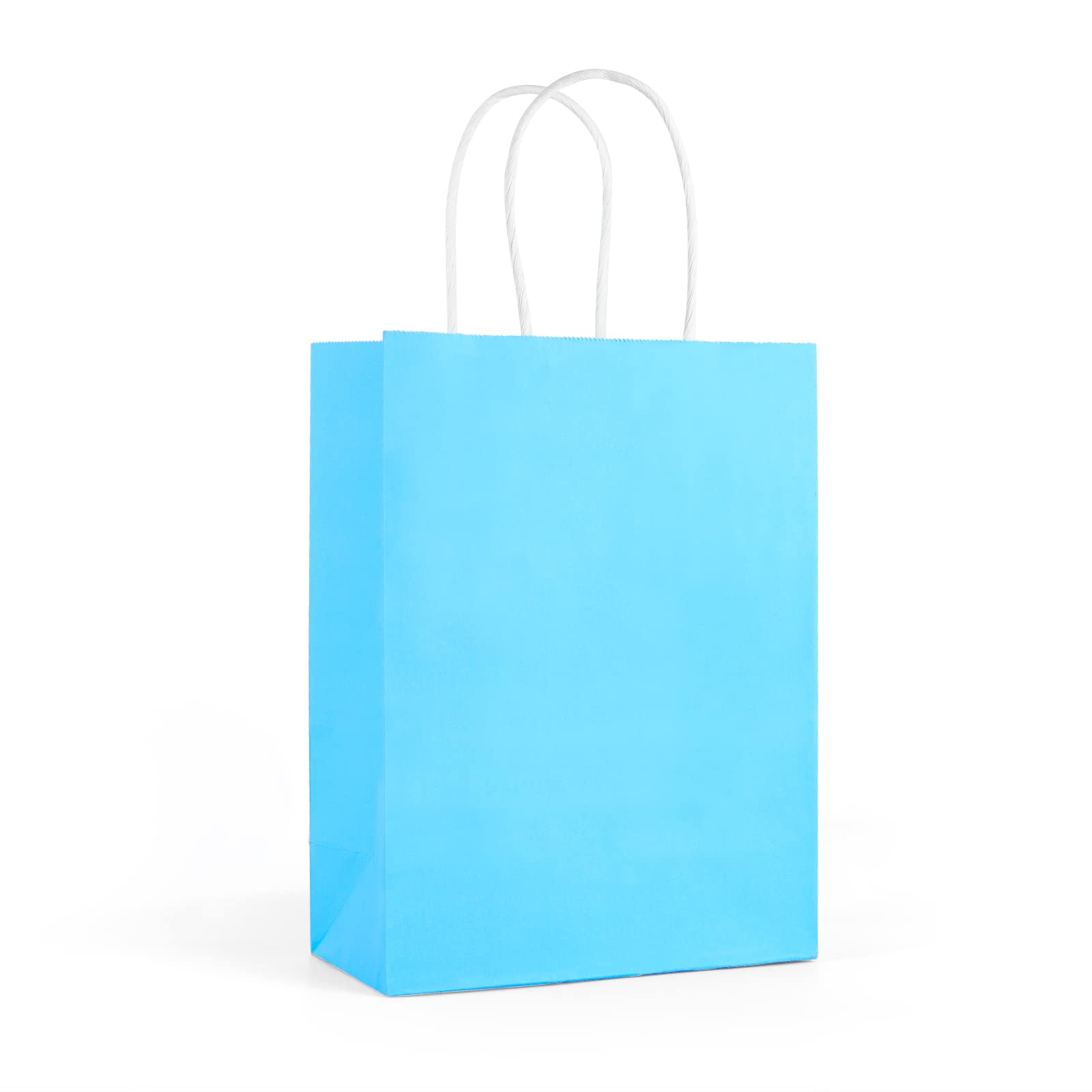 25pcs Paper Bags with Handles. Small Gift Bags Party Favor Bags Goodie Bags Shopping Bags. Light Blue Gift Bags with Handles Bulk for Birthday Wedding Retail Business Festivals Arts DIY Crafts