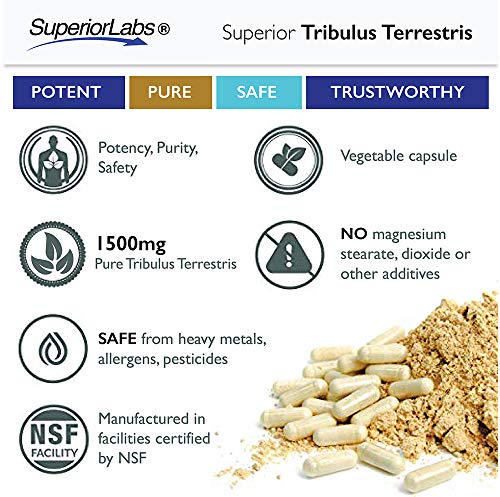 Superior Labs - Tribulus Terrestris - Performance Support & Cortisol Blocker with 45% Saponins, High Potency & Pure 1500mg Dosage, 180 Vegetable Caps - Supports Vitality - with Added BioPerineĀ®