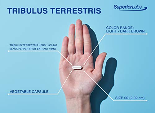 Superior Labs - Tribulus Terrestris - Performance Support & Cortisol Blocker with 45% Saponins, High Potency & Pure 1500mg Dosage, 180 Vegetable Caps - Supports Vitality - with Added BioPerineĀ®