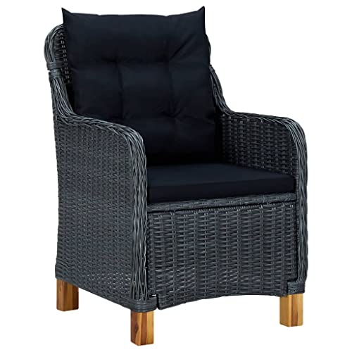 vidaXL Patio Dining Set with Cushions 9 Pieces Garden Balcony Backyard Terrace Dinner Dinette Table Chairs Outdoor Furniture Poly Rattan Dark Gray