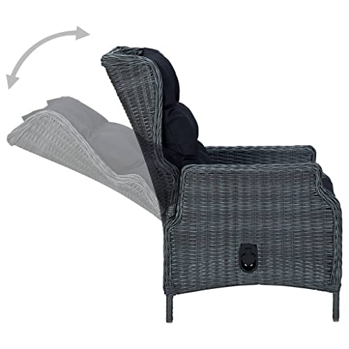 vidaXL Patio Dining Set with Cushions 9 Pieces Garden Balcony Backyard Terrace Dinner Dinette Table Chairs Outdoor Furniture Poly Rattan Dark Gray