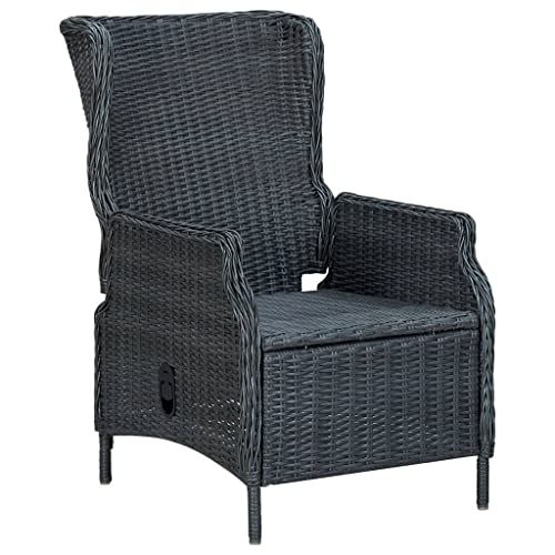 vidaXL Patio Dining Set with Cushions 9 Pieces Garden Balcony Backyard Terrace Dinner Dinette Table Chairs Outdoor Furniture Poly Rattan Dark Gray