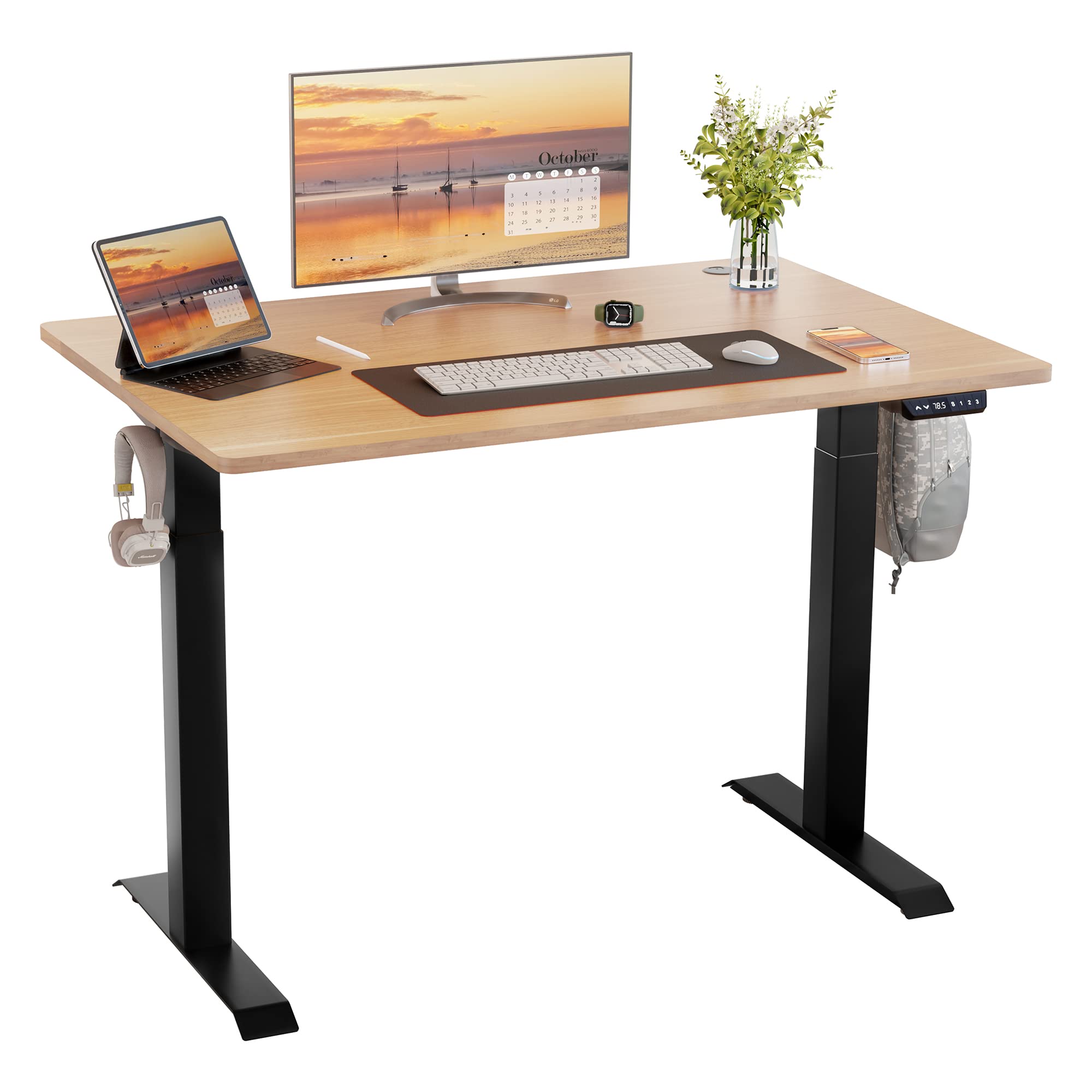 Meilocar Height Adjustable Electric Standing Desk, Sit Stand Computer Desk with Memory Controller, Home Office Desk Computer Workstation 48" x 24" Tabletop (White Top + White Frame)