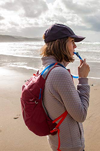 CamelBak Big Bite Replacement Hydration Pack Valve, Blue, One